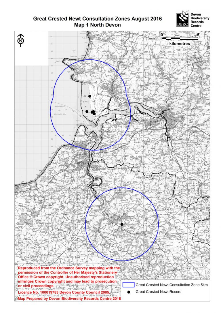 Great Crested Newts – DBRC