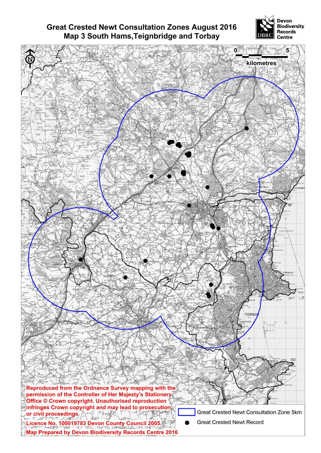 Great Crested Newts – DBRC