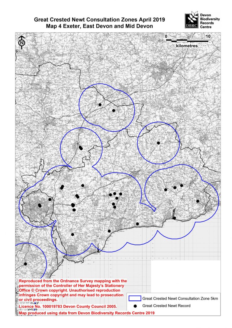 Great Crested Newts – DBRC