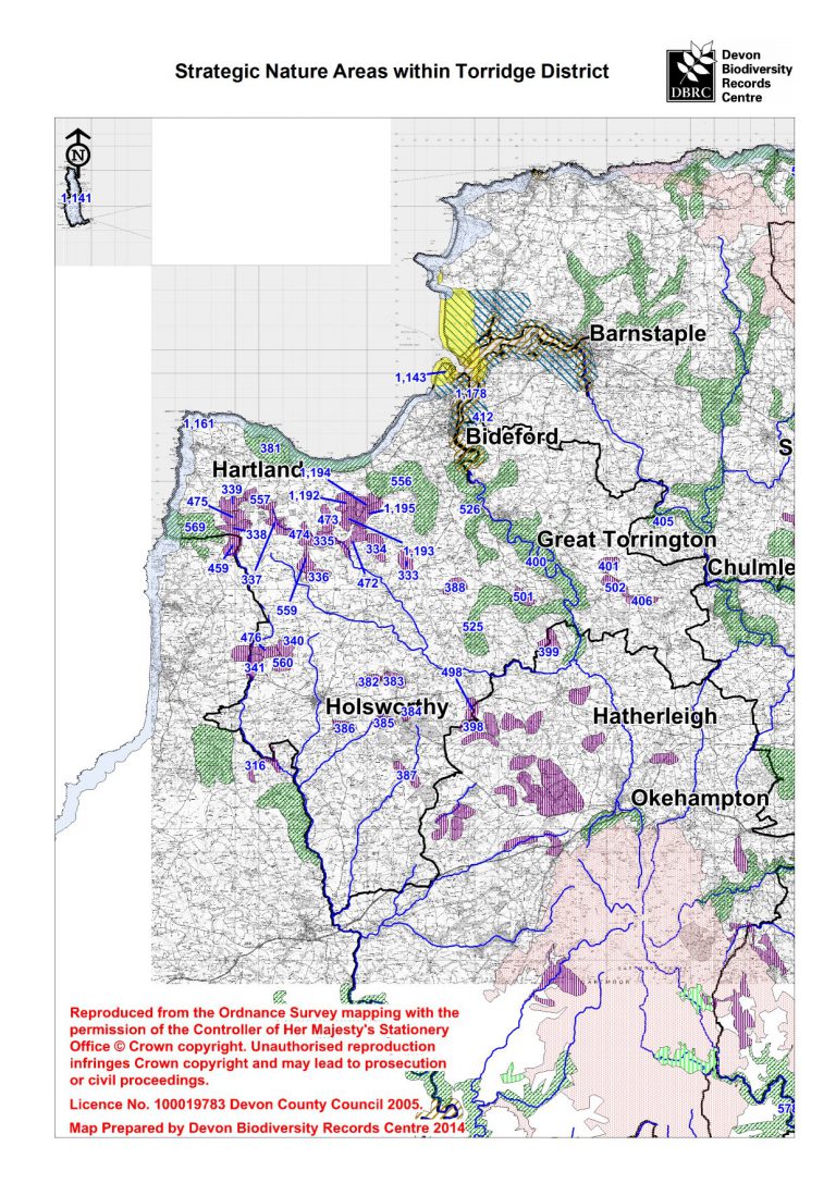 Torridge District SNAs – DBRC