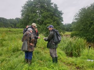 Current Projects and Surveys – DBRC