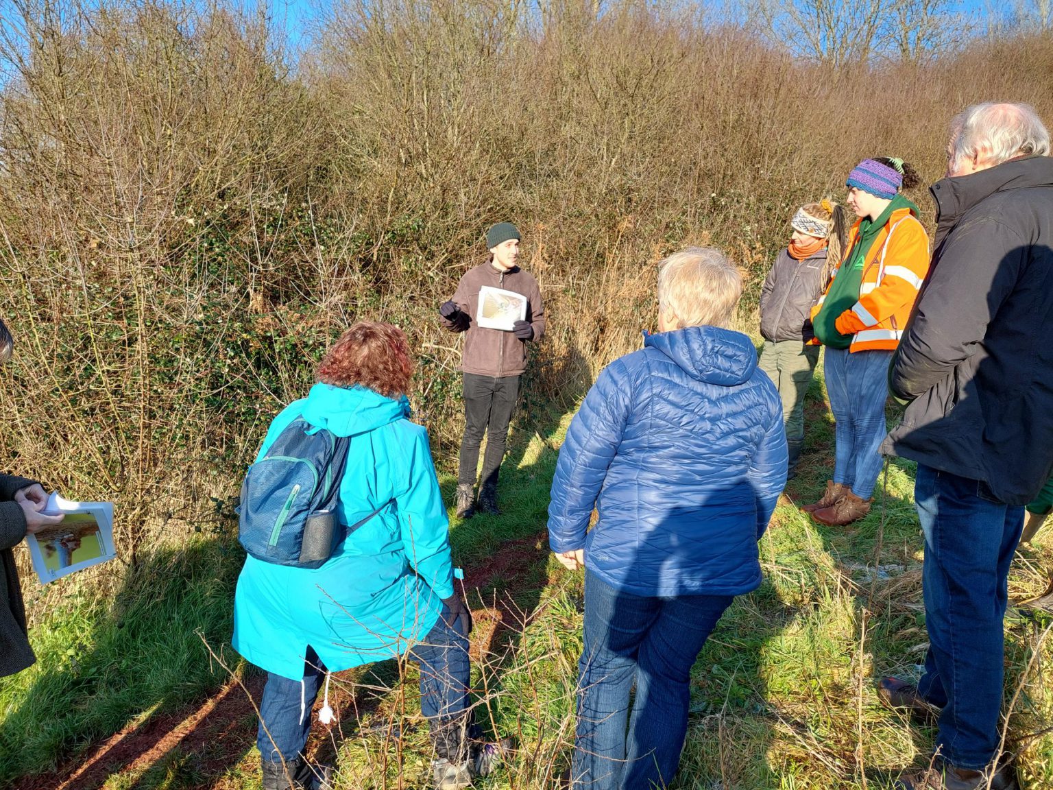 Current Projects and Surveys – DBRC