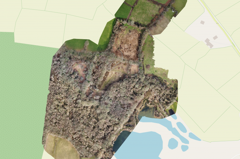 Current Projects and Surveys – DBRC