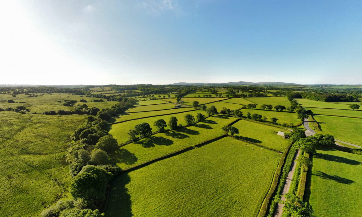 Strategic Nature Areas – DBRC