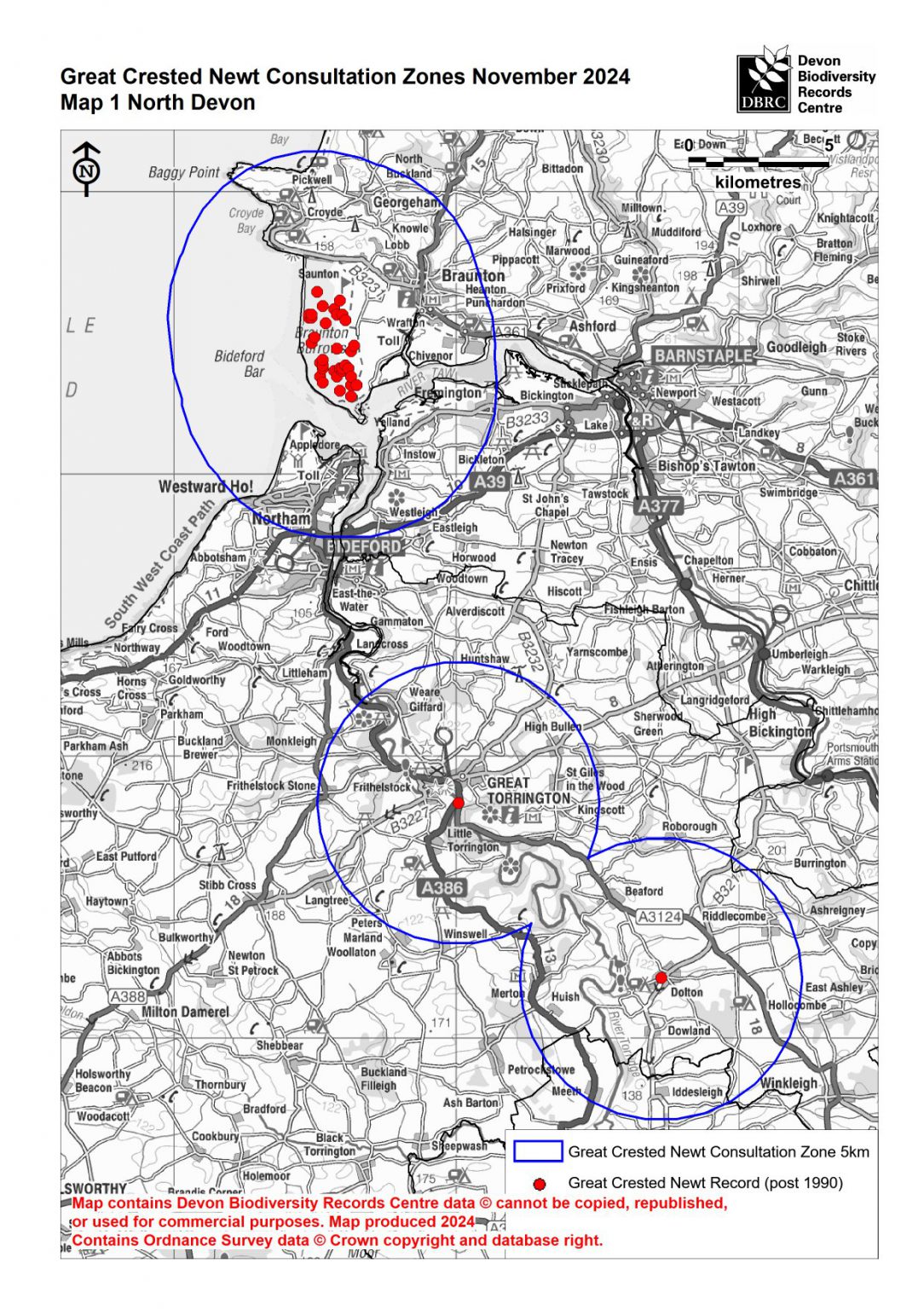 Great Crested Newts – DBRC