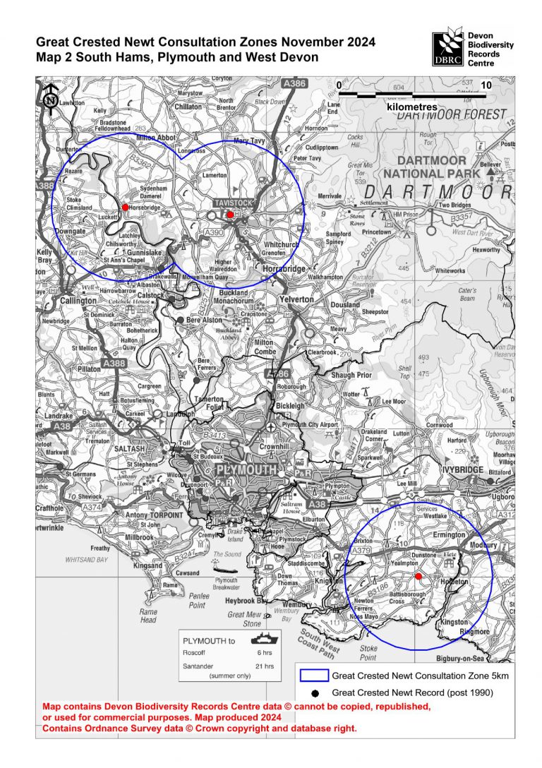 Great Crested Newts – DBRC