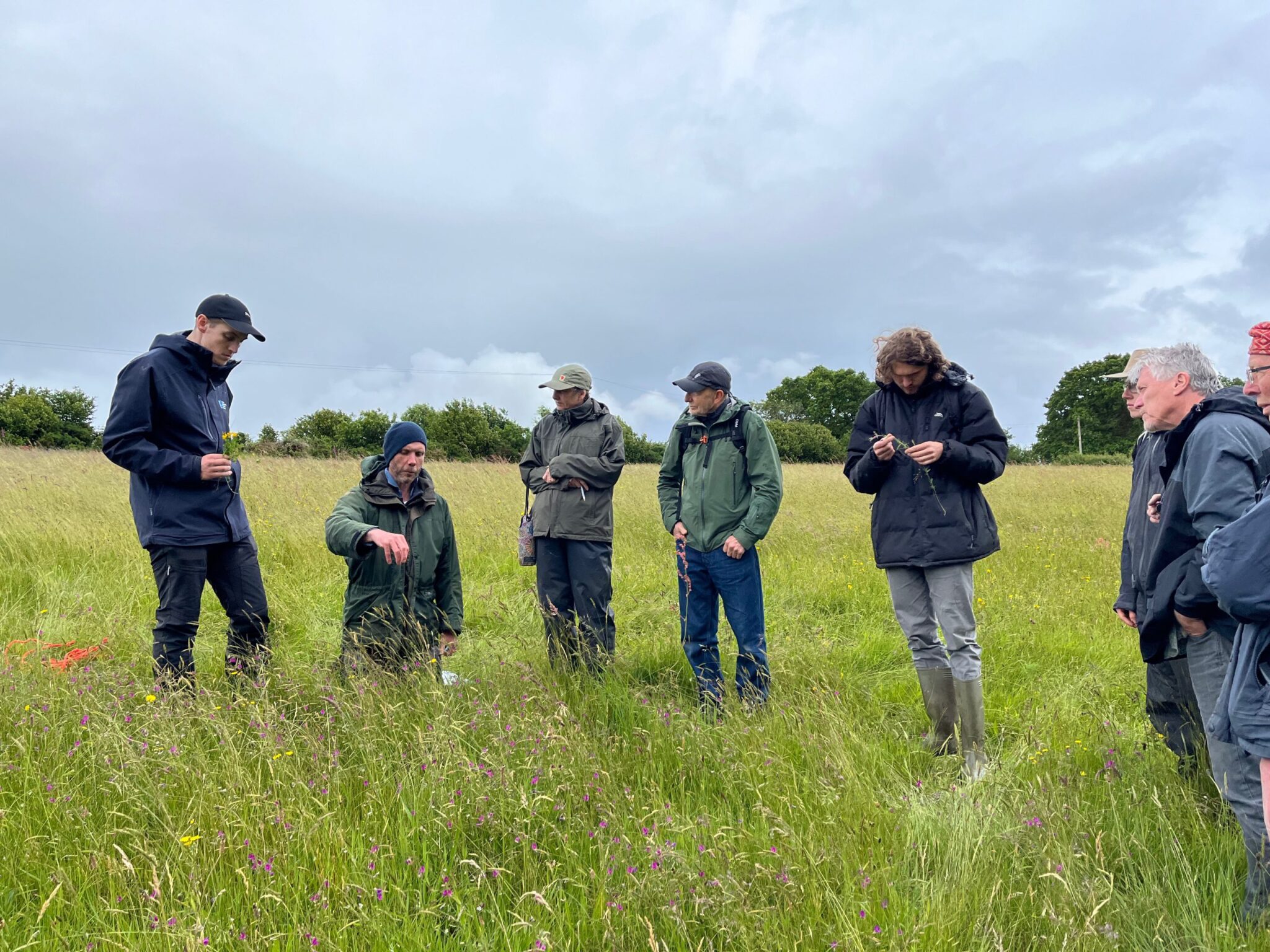 Current Projects and Surveys – DBRC